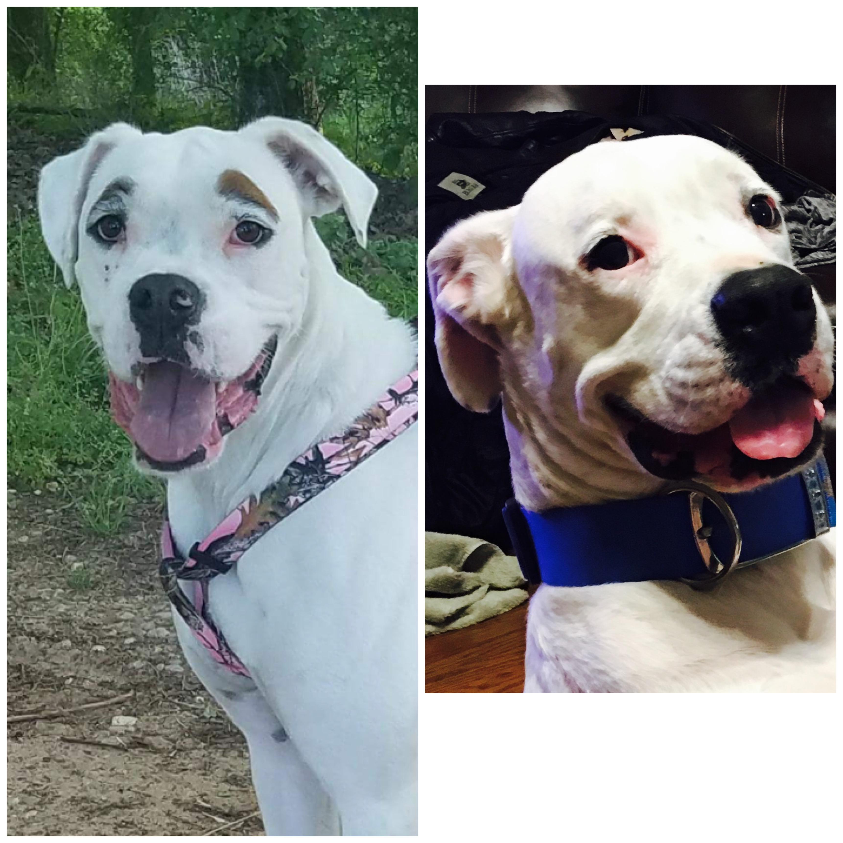 LORD Thank You for the Greatest Gift ever bestowed to us, Jesus.